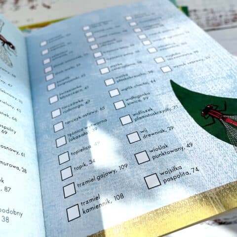 Robale. Owady i inne małe stworzenia. Zobacz i rozpoznaj