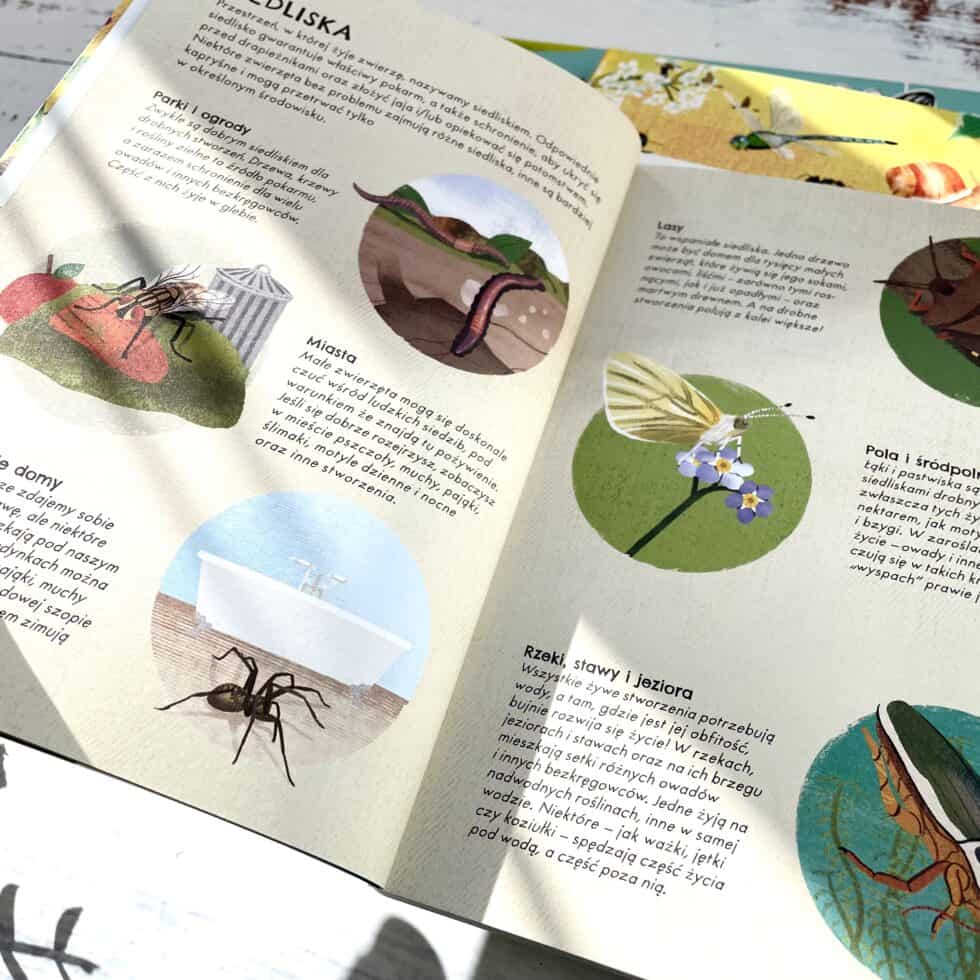 Robale. Owady i inne małe stworzenia. Zobacz i rozpoznaj