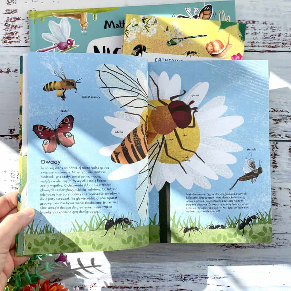 Robale. Owady i inne małe stworzenia. Zobacz i rozpoznaj